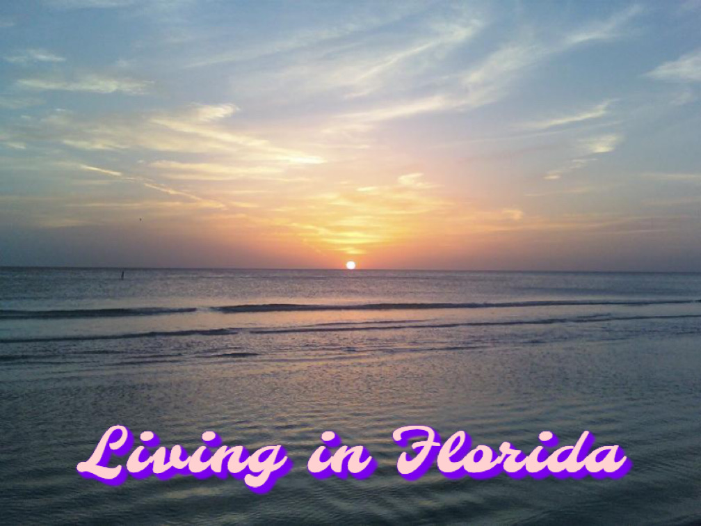 Living In Florida: Culture Shock – Samantha Ryce Curreli